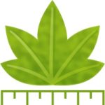 دانلود نرم افزار Digimizer v6.0 تجزیه و تحلیل تصویر و اندازه‌گیری دقیق ...